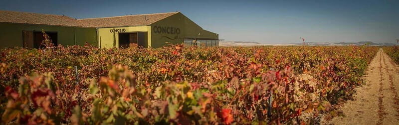 Valladolid: Concejo Bodegas - The Sum Up