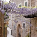 Valldemossa: Discover Valldemossa with a transfer from Palma - The Value of This Tour