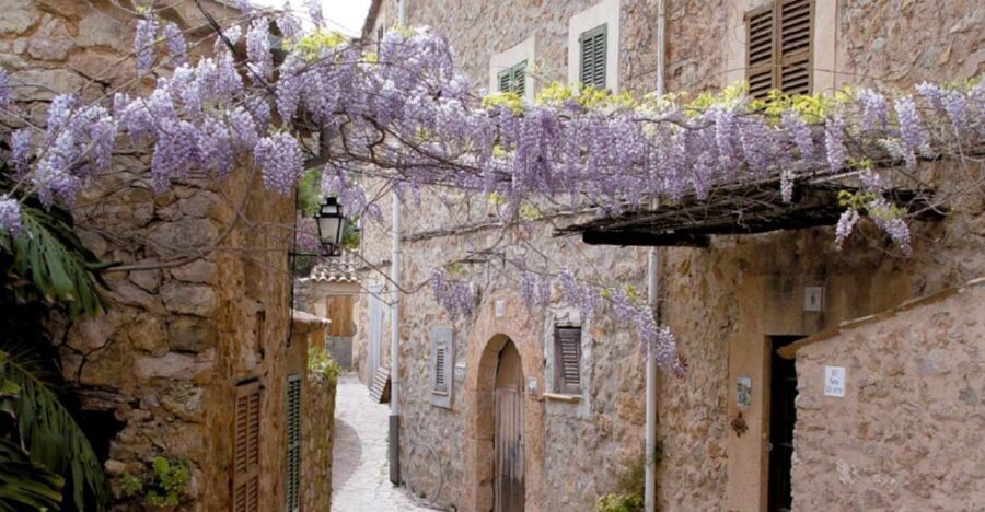 Valldemossa: Discover Valldemossa with a transfer from Palma - The Value of This Tour