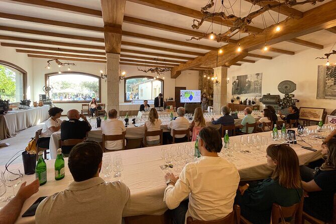 Valle delle Ferle with Wine Tasting and Lunch in Caltagirone - The Vineyard Walk and Cellar Visit: Why They Matter