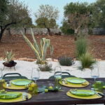 Valle d'Itria: Monet-Inspired Picnic in Olive Grove - What To Expect on Your Monet-Inspired Picnic