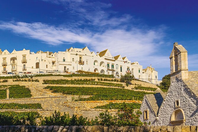 Valley D'itria full day tour Cisternino Alberobello and Polignano a Mare - An In-Depth Look at the Valle DItria Full-Day Tour