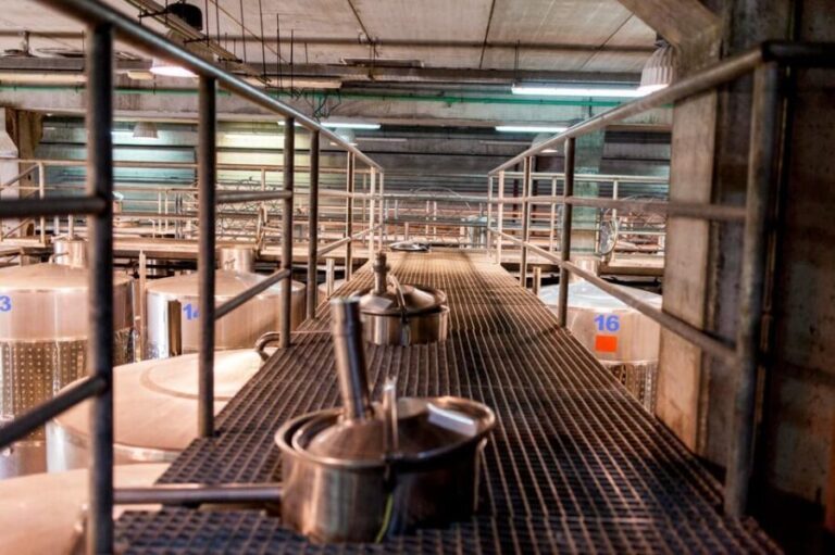 Valley of Tegueste: Wine Tour with Tasting at El Lomo Winery - Who Will Love This Tour?