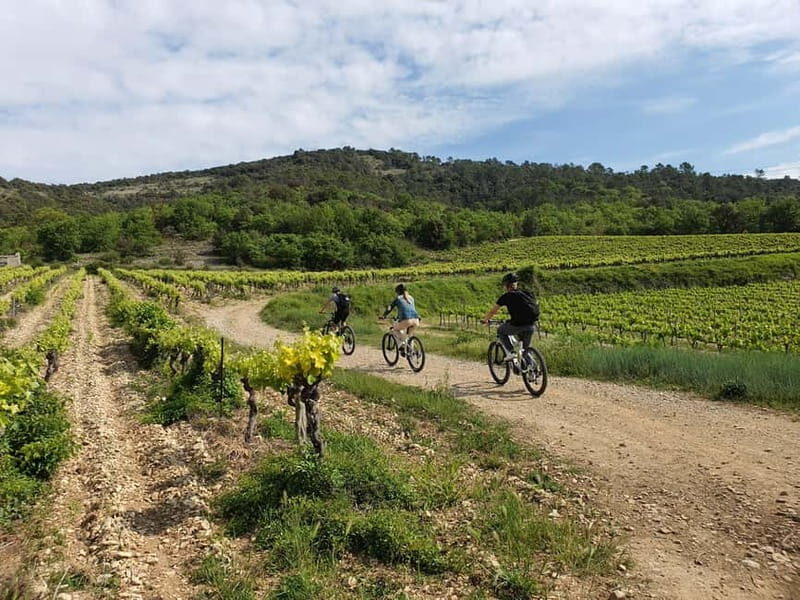 Vallon-Pont-d'Arc: Electric Bike Wine Tour & Tasting - The Scenic Route and Highlights of the Ride