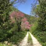 Valnerina: Fly Fishing Day with Guide - The Itinerary in Detail