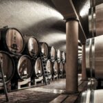 Valpolicella: 1.5-Hour Guided Winery Tour with Wine Tasting - The Itinerary: A Deep Dive