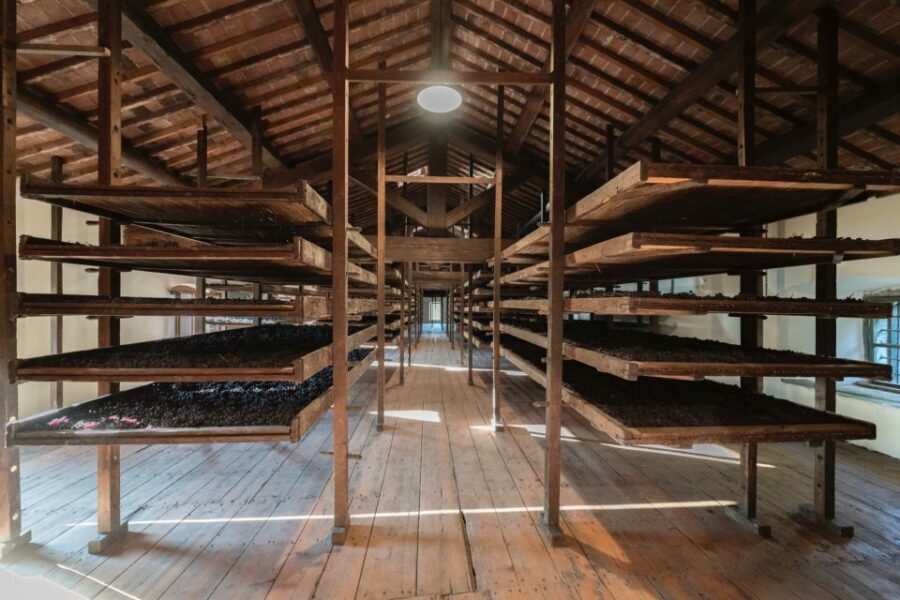 Valpolicella: Amarone Chateau Guided Tour and Wine Tasting - The Tasting Experience