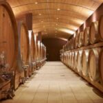 Valpolicella: Amarone Experience with Cantina Visit - Authenticity and Tips for Future Visitors