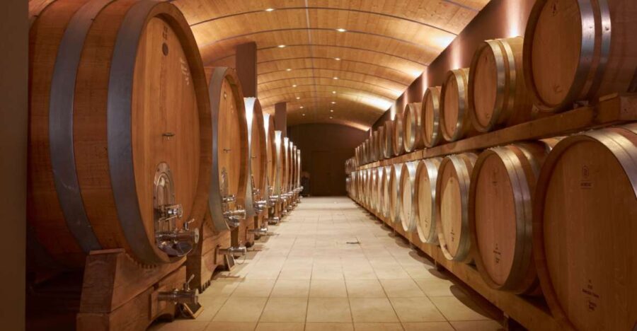 Valpolicella: Amarone Experience with Cantina Visit - Authenticity and Tips for Future Visitors