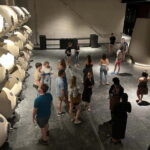Valpolicella: Guided Wine Tour with Tastings of Local Wines - An In-Depth Look at the Tour