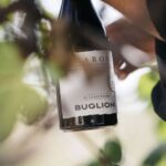 Valpolicella: Lunch or Dinner tasting with Amarone - Authenticity & What Makes It Stand Out