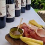Valpolicella: wine tasting on a spectacular terrace - An In-Depth Look at the Experience
