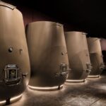 Valpolicella: Wine Tasting With A Sommelier and Light Lunch - An In-Depth Look at the Experience