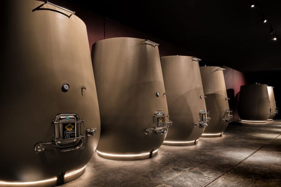 Valpolicella: Wine Tasting With A Sommelier and Light Lunch - An In-Depth Look at the Experience