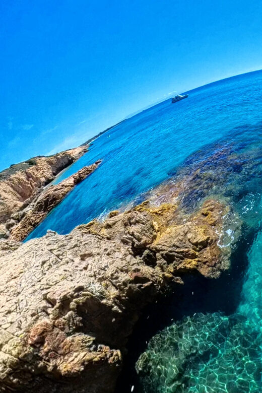 Vanilla- Wild Coasteering - Practical Tips for Your Coasteering Adventure