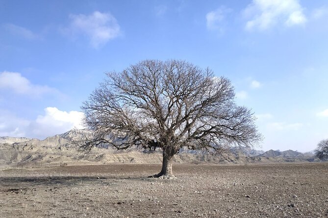 Vashlovani National Park Day Trip from Tbilisi - Key Points