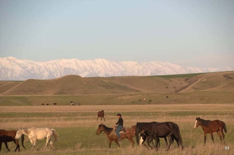 Vashlovani Nature Reserve: Horse Riding Tour - What Reviewers Say