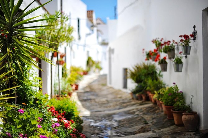 Vejer de la Frontera & Bolonia Beach Private Tour from Cadiz - Practical Details and What’s Included
