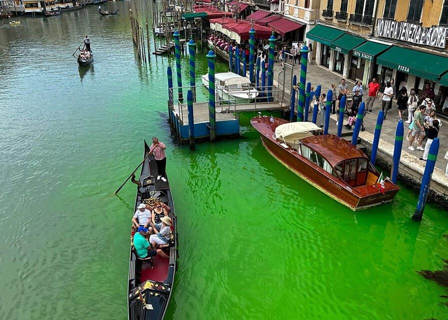 Venetian Gondola Serenade: A Romantic Journey Private - The Experience in Detail: What Travelers Say