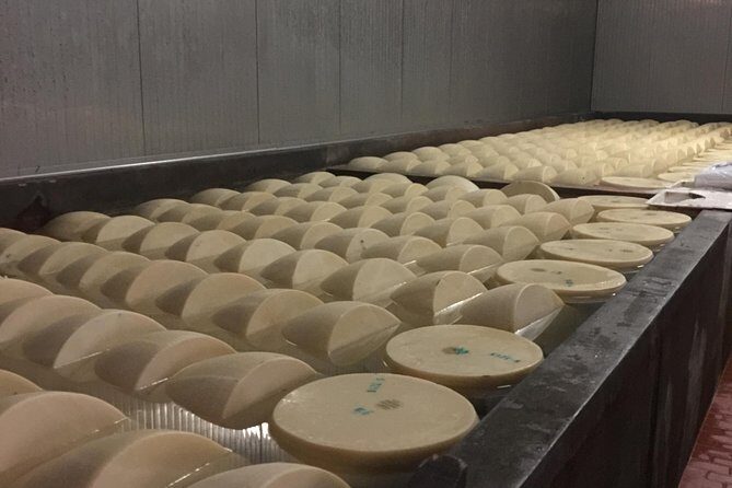 Veneto Villas, Medieval Towns and Grana Padano Production day tour - The Gastronomic Experience: Grana Padano Cheese Production