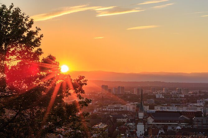 Veni vidi vino - the Freiburg wine hike - Authenticity and Value