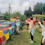 Venice: Bike Tour Honey & artichockes on SantErasmo Island - Who Will Love This Tour?