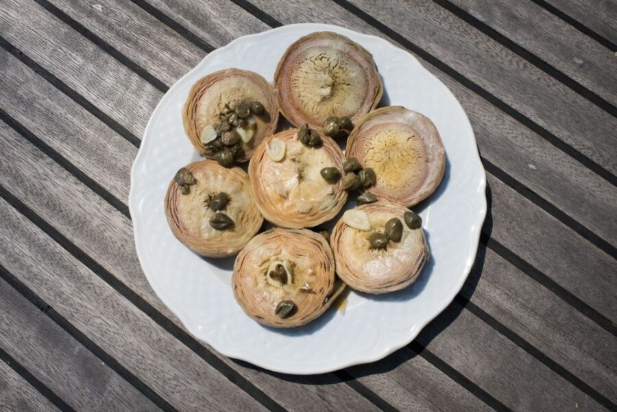 Venice: Cooking Class and Meal at a Local's home - Who Should Consider This Tour?