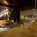 Venice: Natural History Museum Entry Ticket - A Walk Through Venice’s Natural History Museum