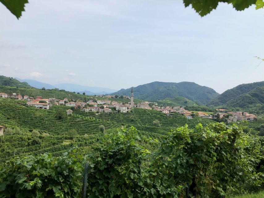Venice: Prosecco Hills Wineries Tour with Tastings and Lunch - Why This Tour Works for Travelers