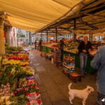Venice: Rialto Market Food Tour with 3 Tastings - The Sum Up