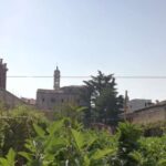 Venice: Secret City Gardens Walking Tour - Exploring Venices Secret Garden Spots