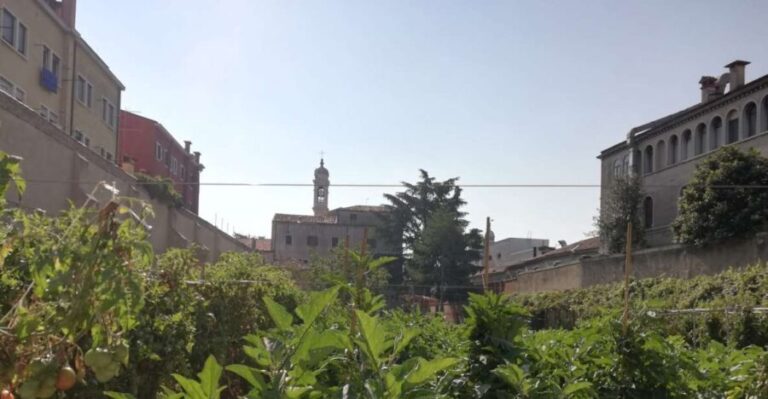 Venice: Secret City Gardens Walking Tour - Exploring Venices Secret Garden Spots