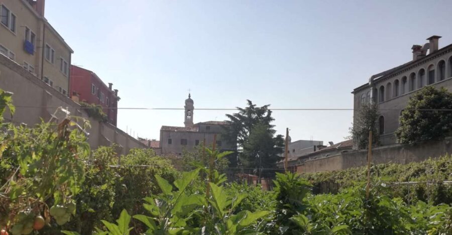 Venice: Secret City Gardens Walking Tour - Exploring Venices Secret Garden Spots