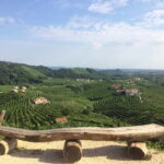 Venice: wine tour tasting along the Unesco Prosecco hills - Who Should Book This Tour?