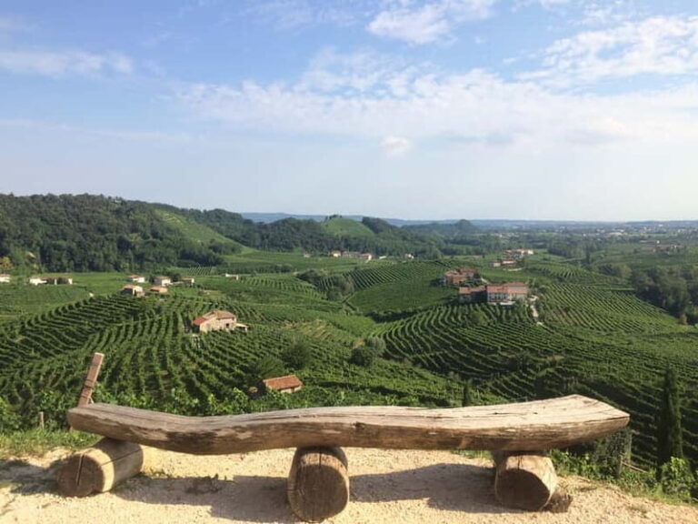 Venice: wine tour tasting along the Unesco Prosecco hills - Who Should Book This Tour?