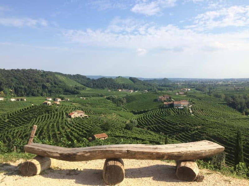 Venice: wine tour tasting along the Unesco Prosecco hills - Who Should Book This Tour?