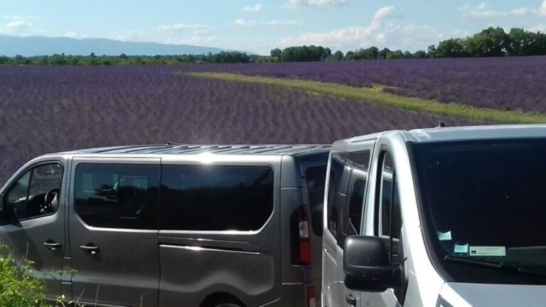 Verdon Gorge: The Grand canyon of Europe, Lake and Lavender - Who Is This Tour Best For?