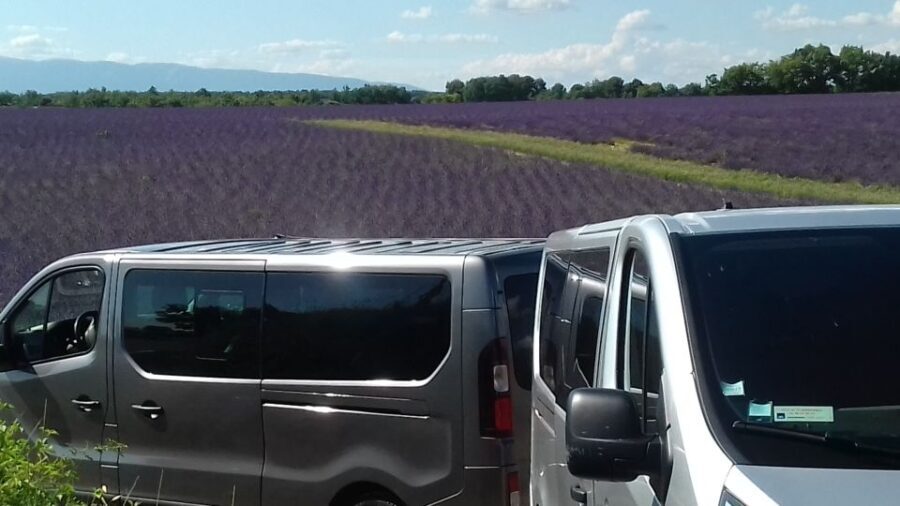 Verdon Gorge: The Grand canyon of Europe, Lake and Lavender - Who Is This Tour Best For?