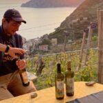 Vernazza: Panoramic Vineyard Trekking Tour w/ Wine Tasting - The Vineyard and What Makes It Special