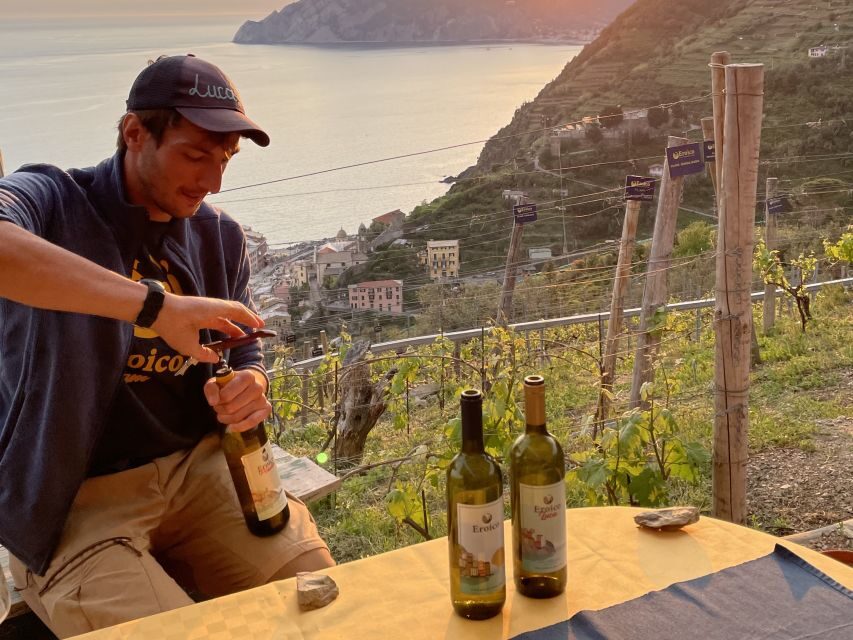 Vernazza: Panoramic Vineyard Trekking Tour w/ Wine Tasting - The Vineyard and What Makes It Special