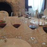 Verona: Amarone Wine Tour with Gourmet Lunch in Roman Villa - What Makes This Tour Stand Out?