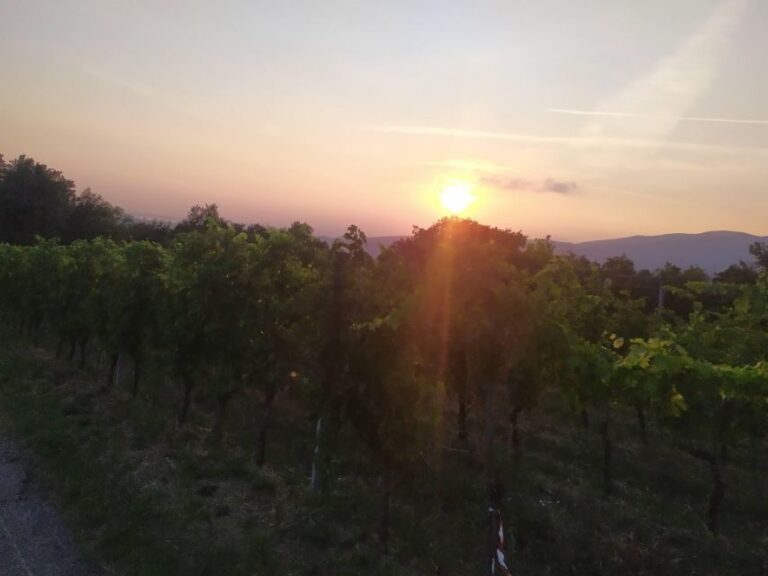 Verona Best Trekking Best View - Who It’s Best For