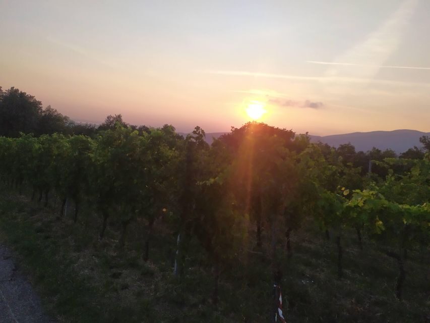 Verona Best Trekking Best View - Who It’s Best For