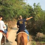 Verona: Horseback Riding and Wine Tasting Experience - An In-Depth Look at the Verona Horseback Riding and Wine Tasting Tour