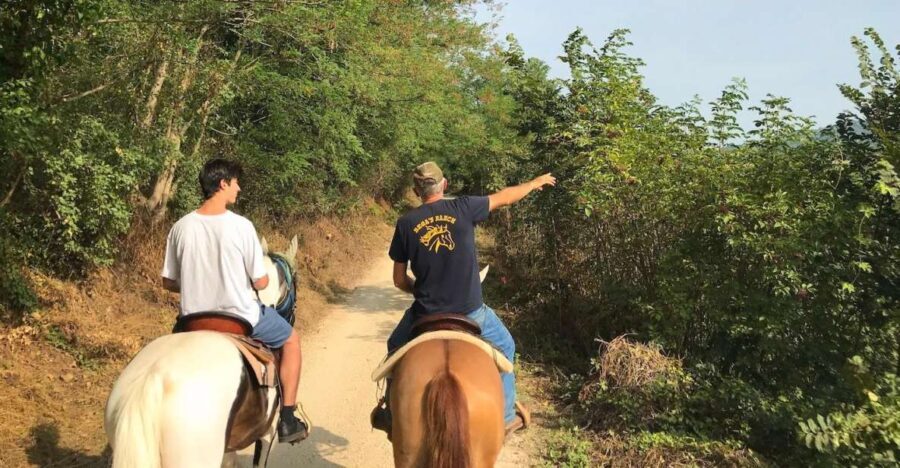 Verona: Horseback Riding and Wine Tasting Experience - An In-Depth Look at the Verona Horseback Riding and Wine Tasting Tour