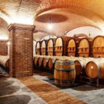 Verona: private tour of Soave and Amarone - What the Experience Means for You
