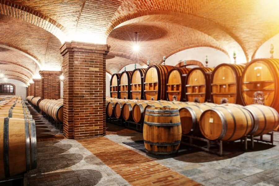 Verona: private tour of Soave and Amarone - What the Experience Means for You