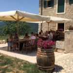 Verona: Vineyard and Winery Tour with Wine Tasting - An In-Depth Look at the Experience