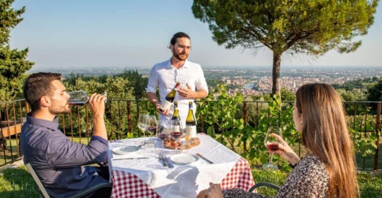 Verona: Wine Tasting with Snacks and Panoramic City Views - Exploring the Vineyard and Winery