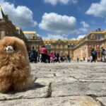 Versailles Half-day Private Tour by Luxury Car - An In-Depth Look at the Versailles Half-day Private Tour